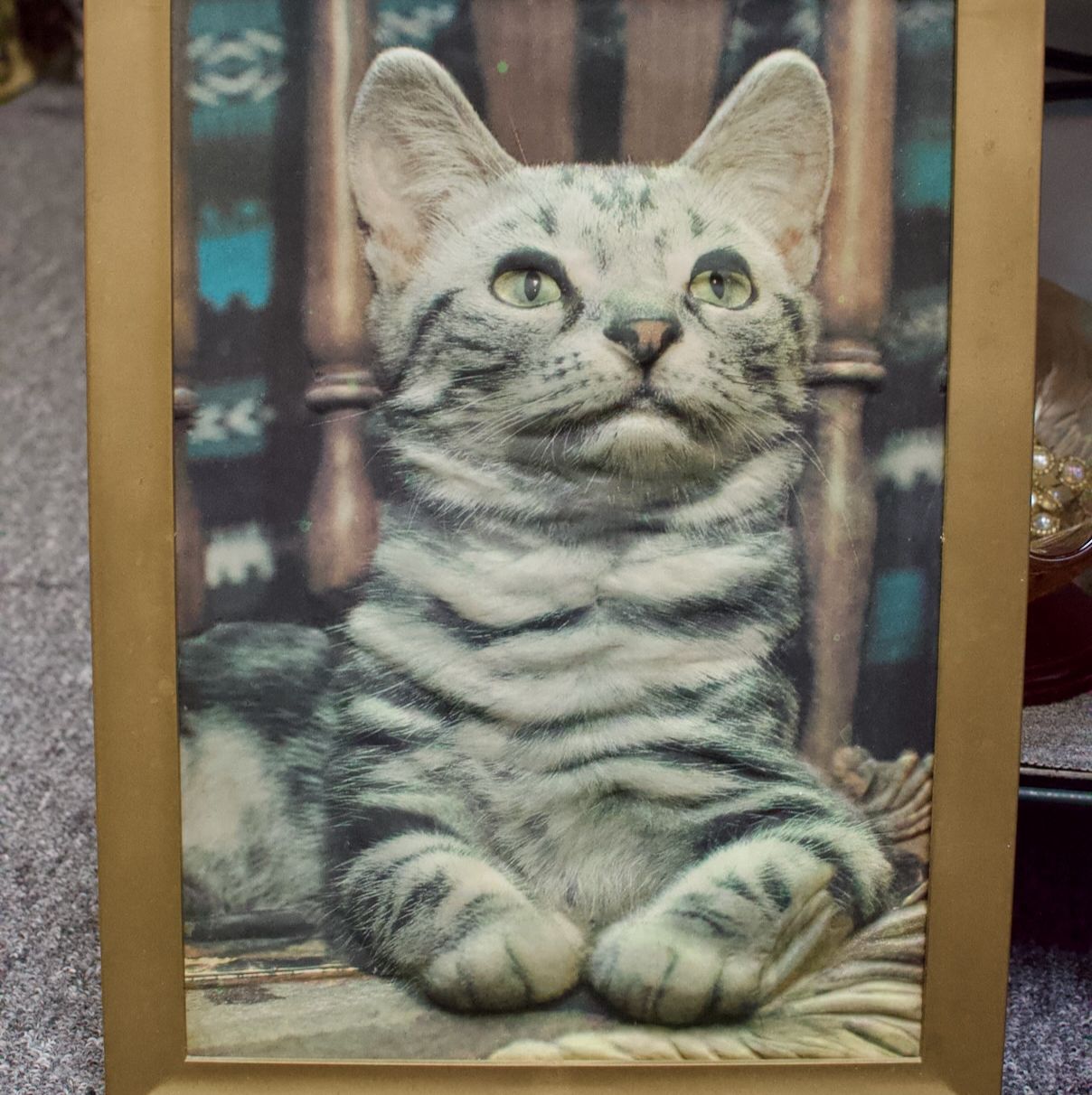 Vintage 3-dimensional cat picture